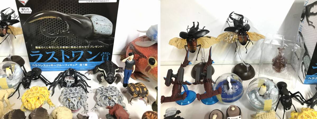 Yahoo!オークション - M153-71 いきもの大図鑑 トカゲ クワガタ カエル...