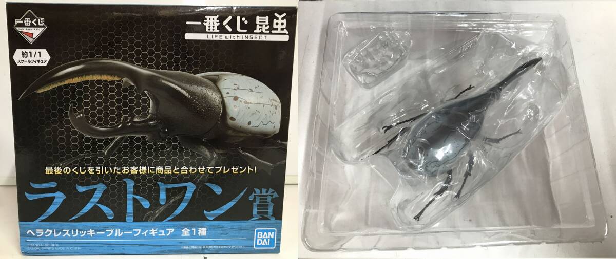 Yahoo!オークション - M153-71 いきもの大図鑑 トカゲ クワガタ カエル...