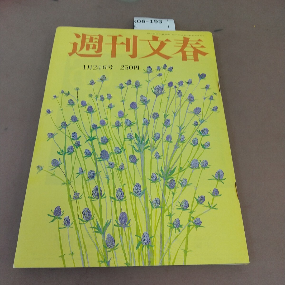 Yahoo!オークション - k06-193 週刊文春 平成3年1月24日発行 文藝春秋 ...
