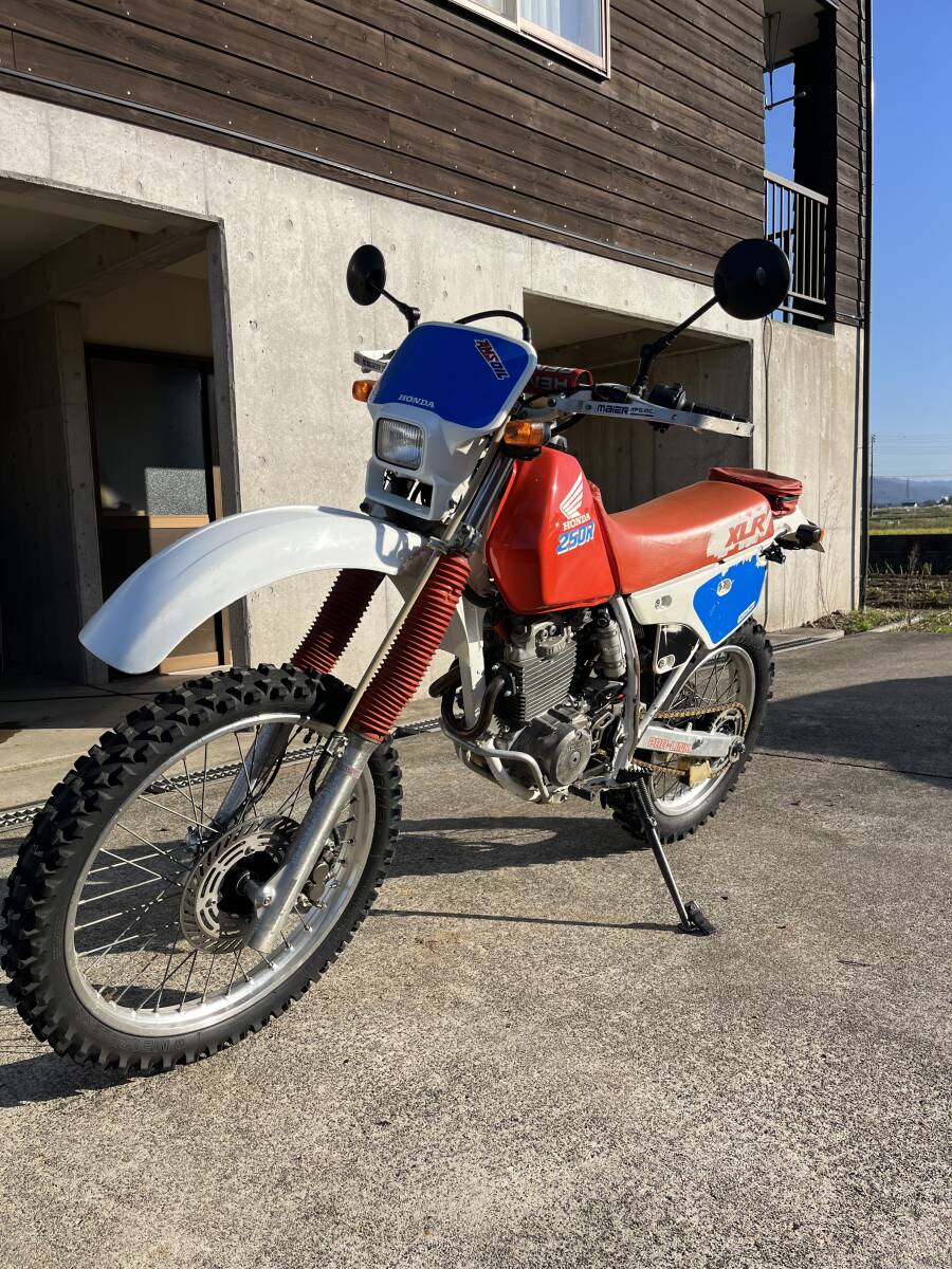 Yahoo!オークション - HONDA XLR250 中古車