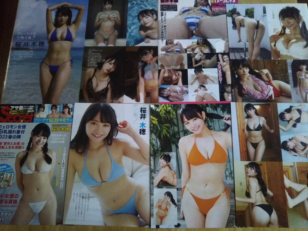 Yahoo!オークション - 桜井 木穂 新旧切り抜き寄せ集め 31P 鈴木ふみ...