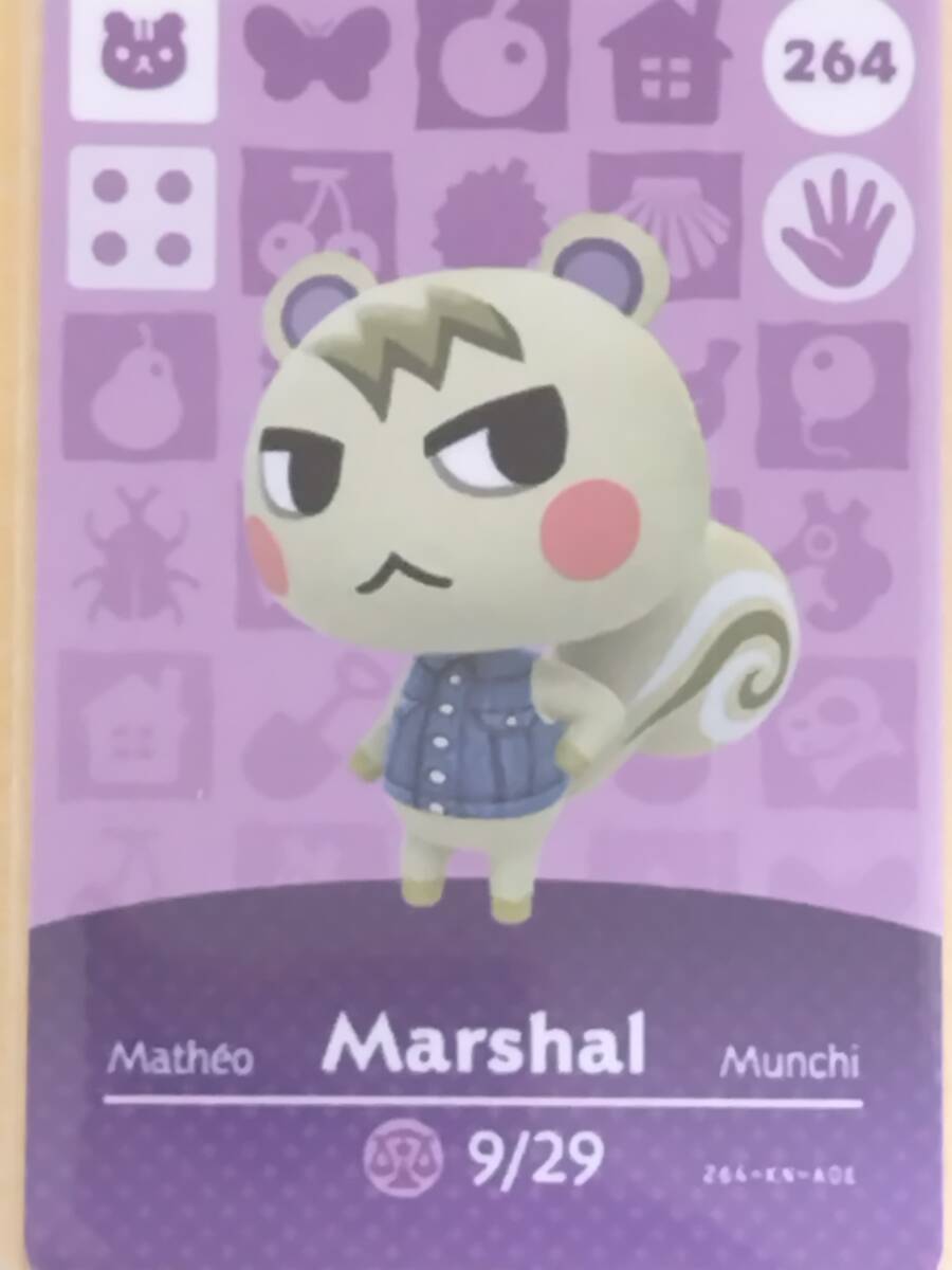 Yahoo!オークション - ジュン amiiboカード あつまれどうぶつの森 Nint...