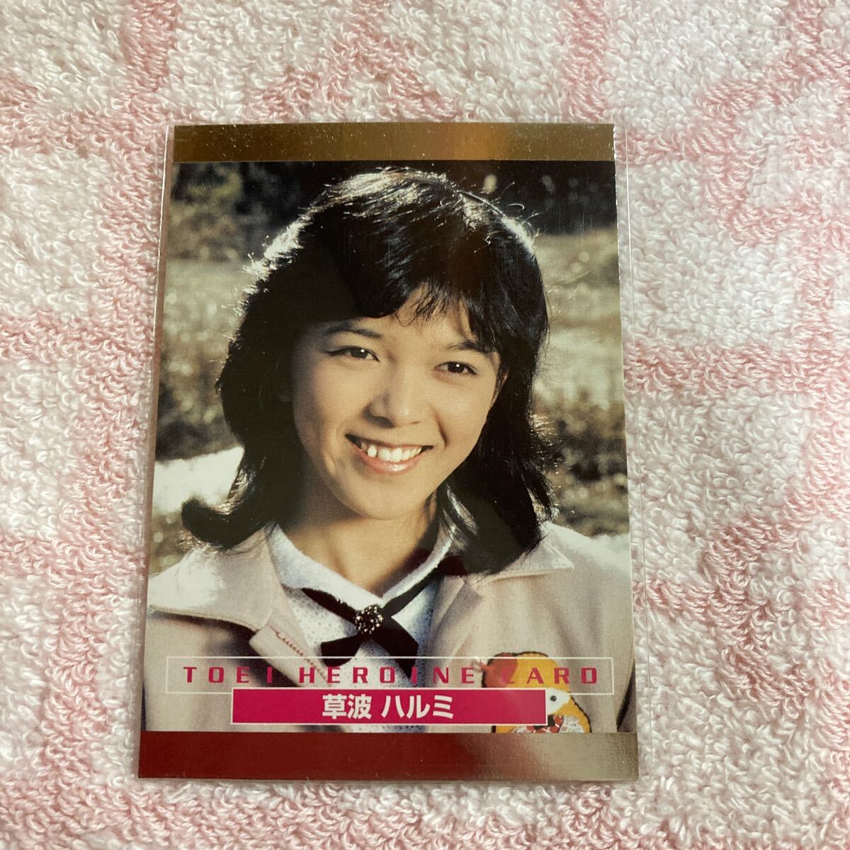 Yahoo!オークション - n 3327 草波ハルミ 仮面ライダースーパー1 コレ...