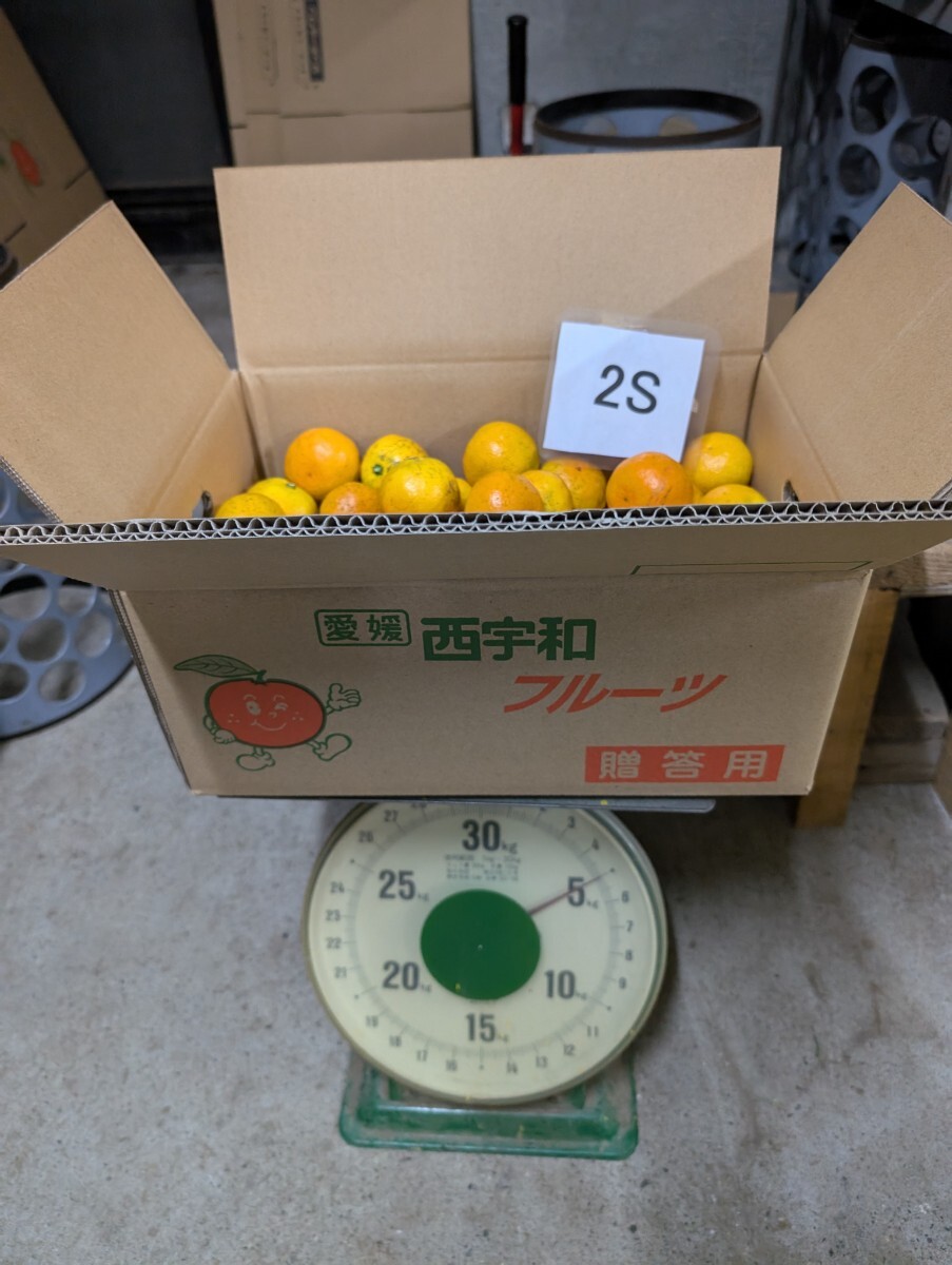 Yahoo!オークション - 愛媛西宇和産 宮川早生みかん 2S 5kg
