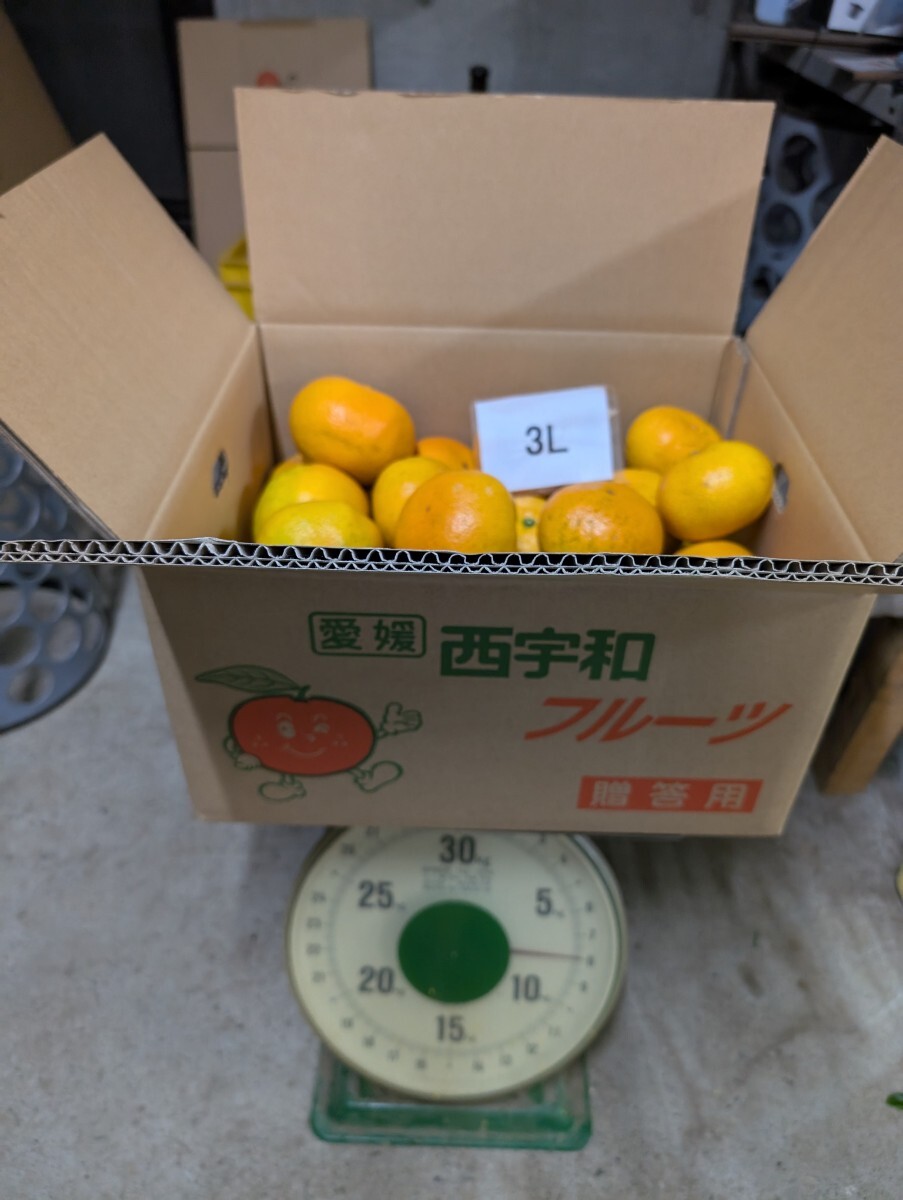 Yahoo!オークション - 愛媛西宇和産 宮川早生みかん 3L 8kg