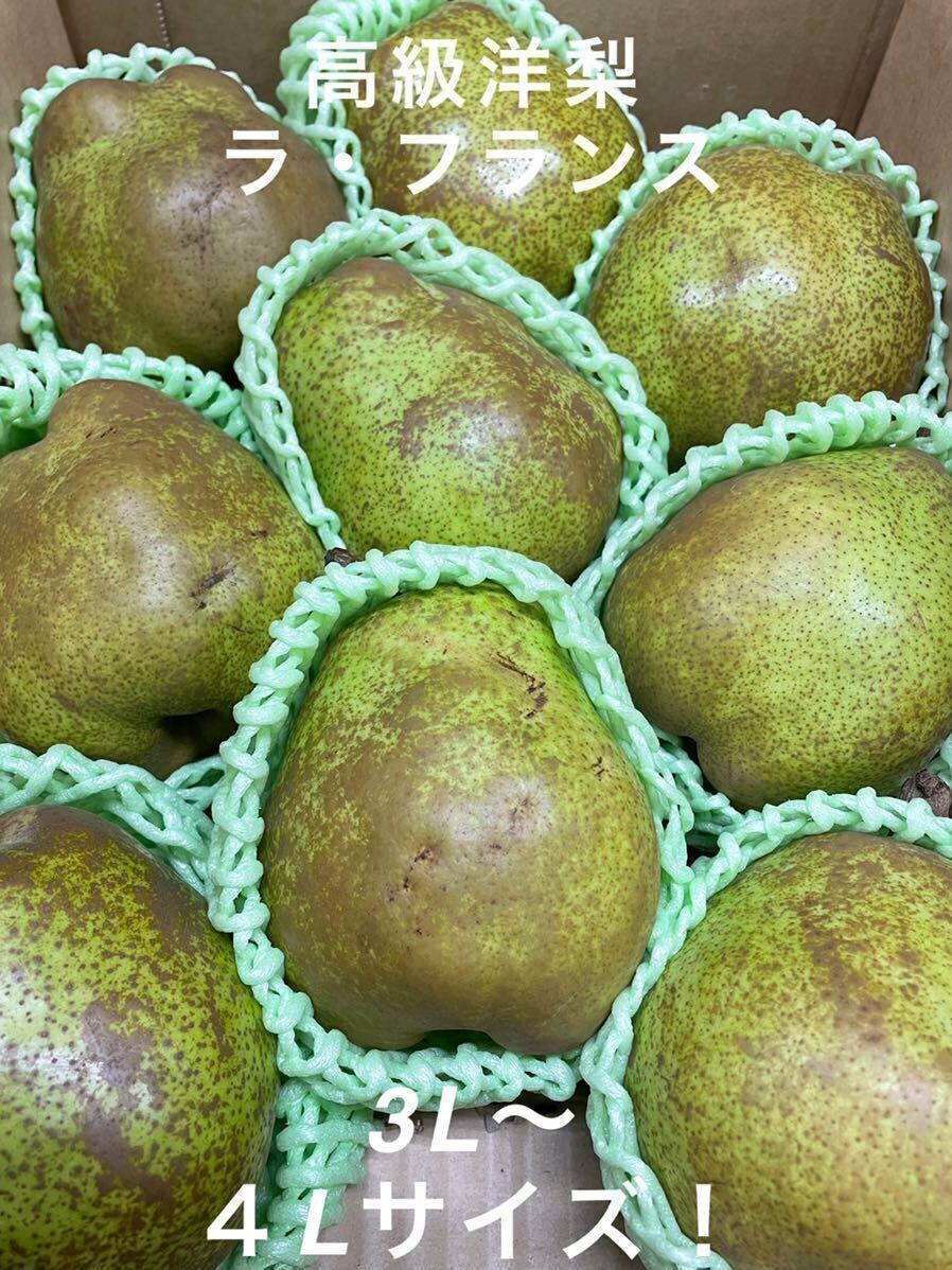 Yahoo!オークション - 【大特価】 旬の果物 産地直送 高級洋梨 ラ・フ...