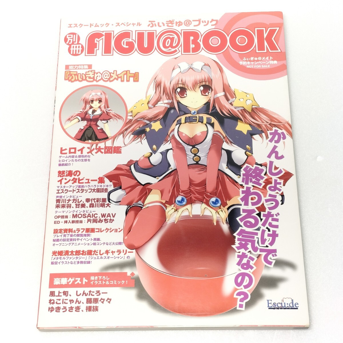 別冊FIGU@BOOK ふぃぎゅ@メイト 予約キャンペーン特典