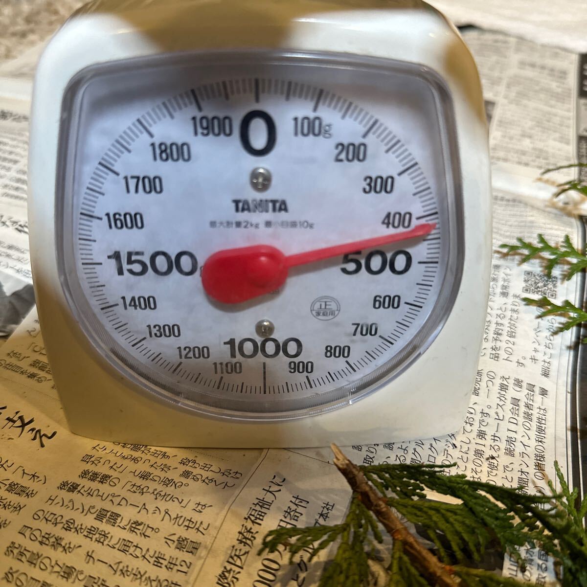 Yahoo!オークション - ③特大わんこ 写真が現品です 420g前後 格安ス...