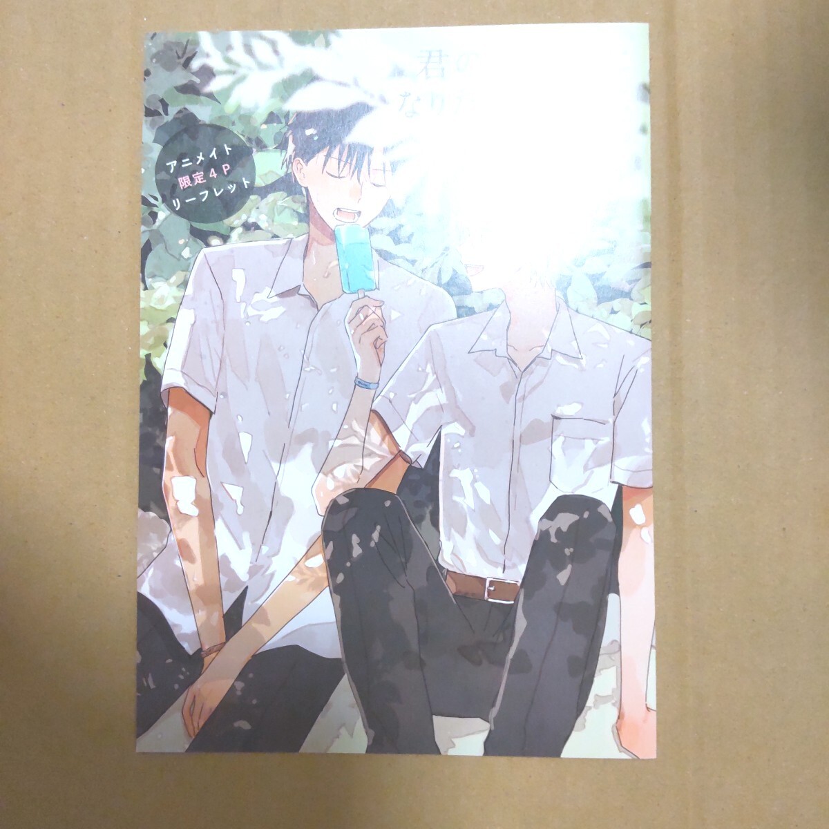 アニメイト特典リーフレット のみ 君のこと好きになりたくないのに merorico(クリアファイル)｜売買されたオークション情報、yahooの商品情報をアーカイブ公開 - オークファン ...