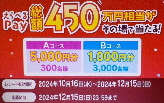 Yahoo!オークション - 懸賞 応募券 ( 選べる Pay 5000円 他