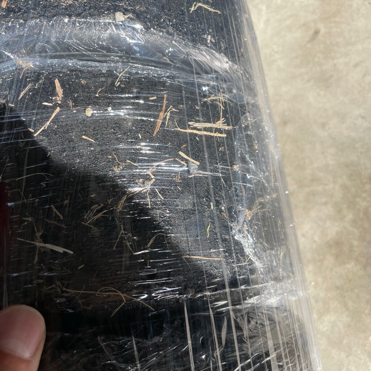 Yahoo!オークション - ダンロップ SL22 タイヤ 中古 2024年 10月おろし...