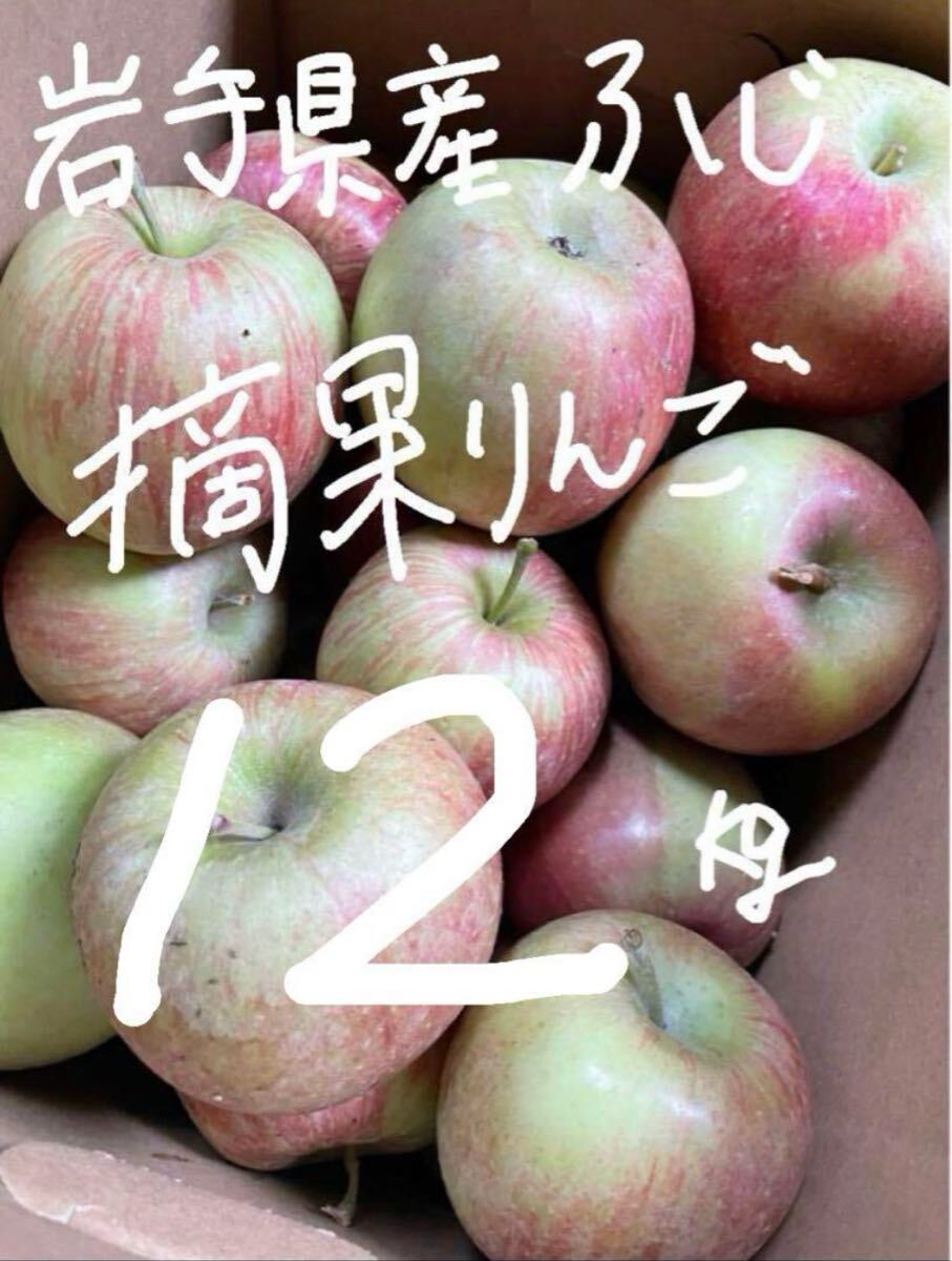 Yahoo!オークション - 岩手県産 摘果りんご(フジ)12kg