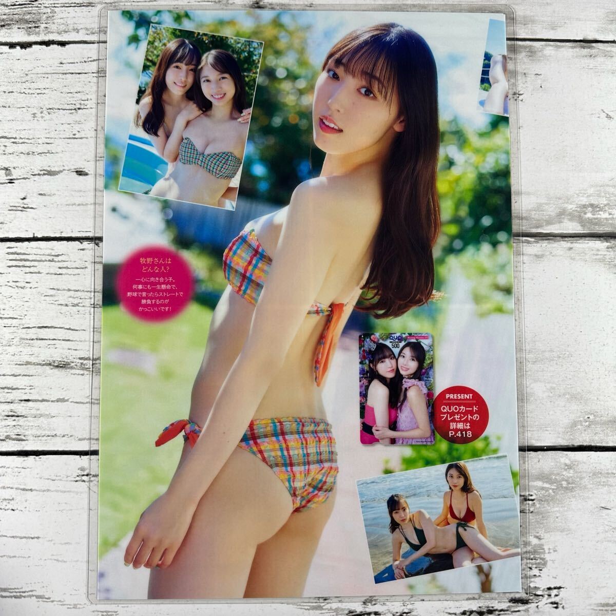 高品質ラミネート処理 牧野真莉愛 譜久村聖 ヤングマガジン 2023年52号 雑誌 切り抜き 9P B5フィルム 水着 グラビア アイドル 芸能人(タレント)｜売買されたオークション情報 ...