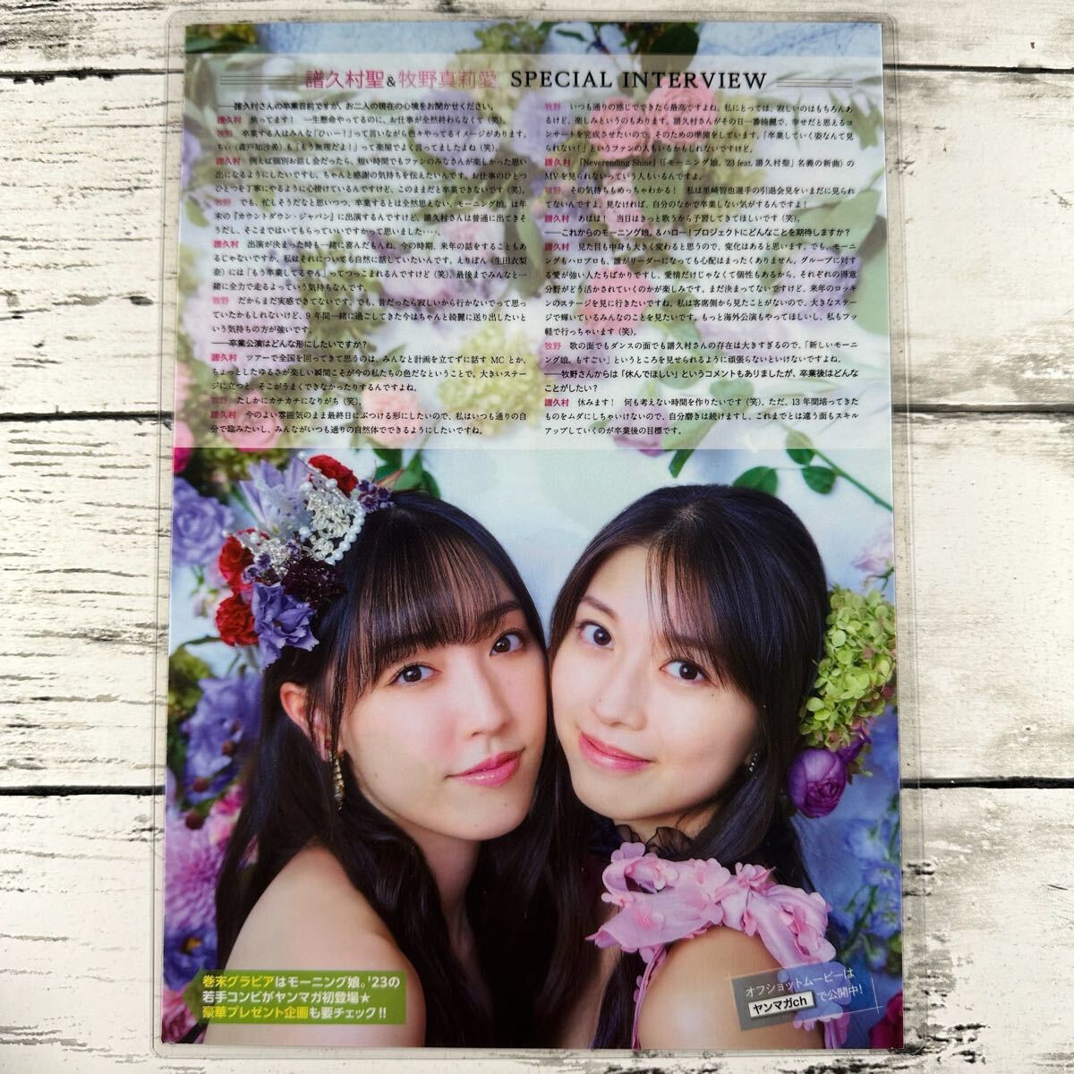 高品質ラミネート処理 牧野真莉愛 譜久村聖 ヤングマガジン 2023年52号 雑誌 切り抜き 9P B5フィルム 水着 グラビア アイドル 芸能人(タレント)｜売買されたオークション情報 ...