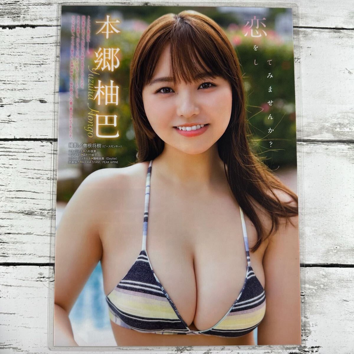 日本代購代標第一品牌【樂淘letao】－[高品質ラミネート処理][ 本郷柚巴 NMB48 ] ヤングマガジン 2024年16号 雑誌 切り抜き 9P B5フィルム 水着 グラビア アイドル ...