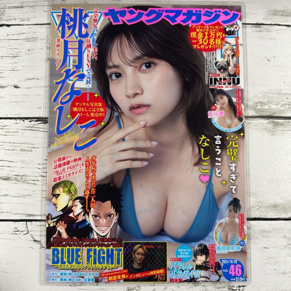 日本代購代標第一品牌【樂淘letao】－[高品質ラミネート処理][ 桃月なしこ ] ヤングマガジン 2024年46号 雑誌 切り抜き 8P B5フィルム 水着 グラビア アイドル 芸能人 女優