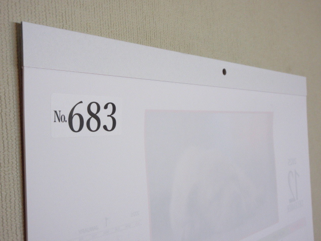 Yahoo!オークション - 【n63】2025年「ワンダフルランド」 カレンダー ...