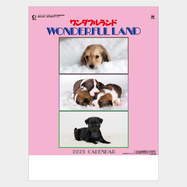Yahoo!オークション - 【n63】2025年「ワンダフルランド」 カレンダー ...