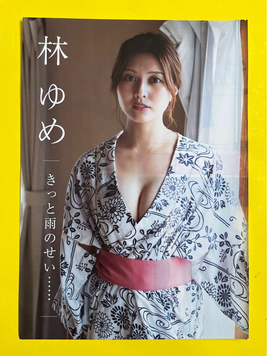Yahoo!オークション - 週刊現代 林ゆめ 切り抜き6P 2024 送料140円～