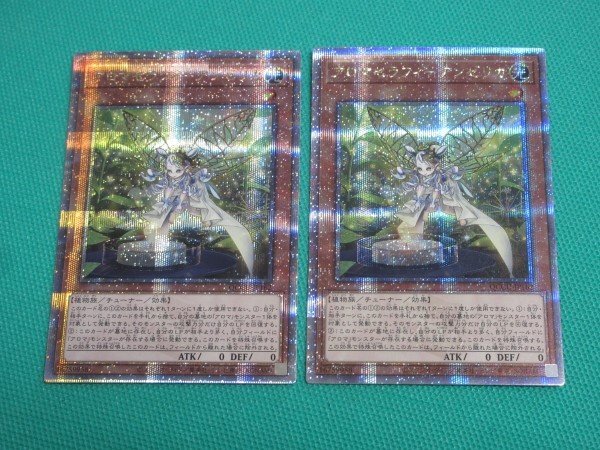 Yahoo!オークション - 遊戯王 QCCU-JP162 25thシークレット アロマセラ...