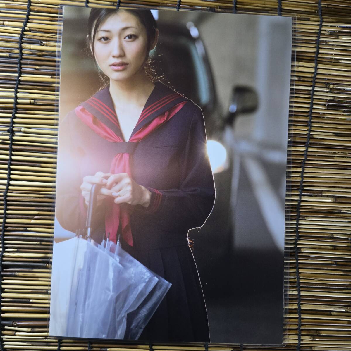 Yahoo!オークション - 【高品質厚手150μラミネート加工】壇蜜 水着 ...