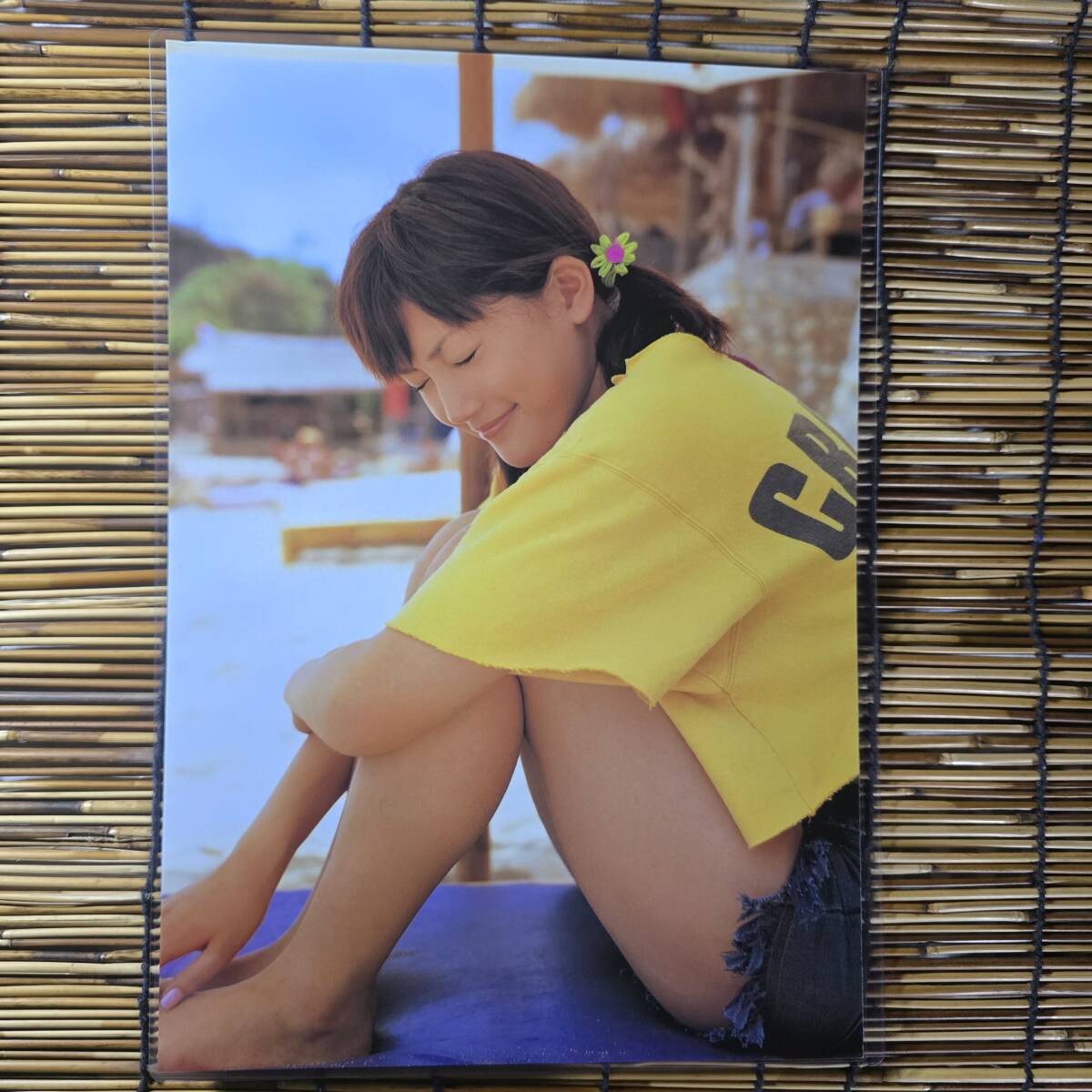 Yahoo!オークション - 【高品質厚手150μラミネート加工】綾瀬はる...