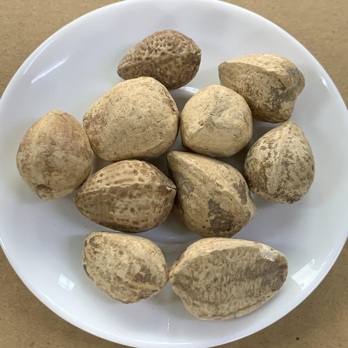 Yahoo!オークション - 2039種子10粒Moringa drouhardii モリンガ これ...