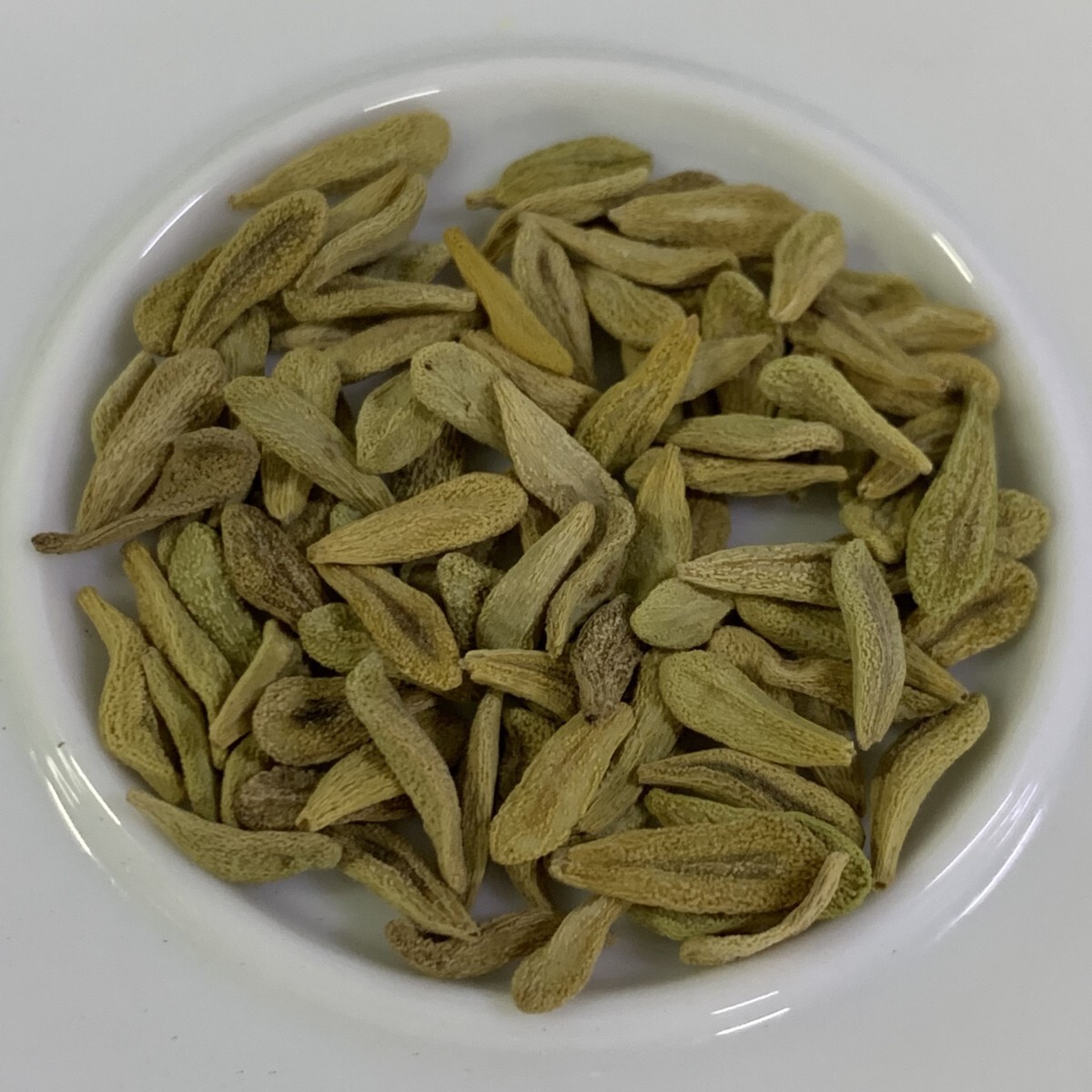 Yahoo!オークション - S52種子100粒パキポディウム・ラメリー / Pachyp...