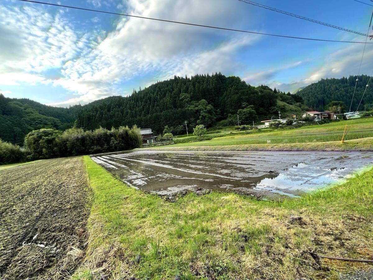 Yahoo!オークション - [もち米10kg] 鳥取県産ハクトモチ 玄米 送料込み...