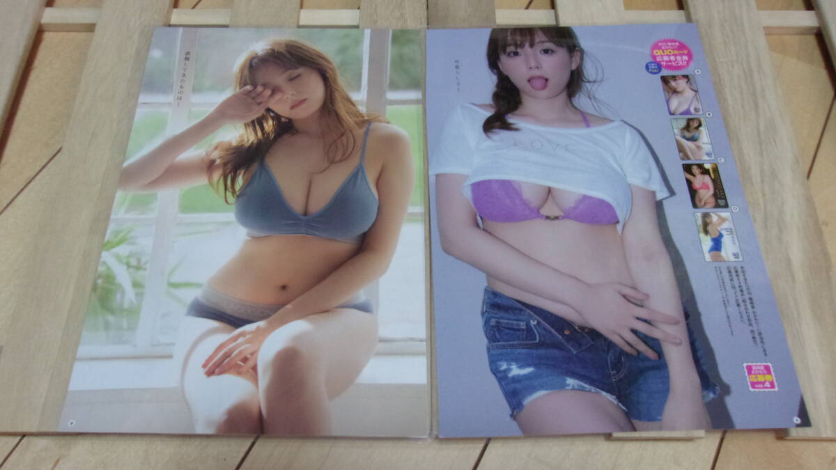 Yahoo!オークション - 篠崎愛 巨乳グラドル B5雑誌切抜ラミネート8P T1...