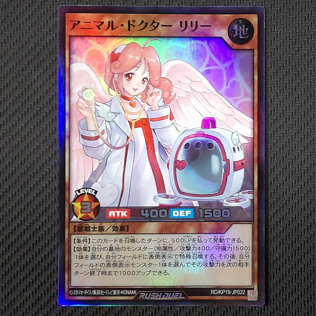 Yahoo!オークション - RD/KP19-JP022 SR アニマル・ドクター リリー ス...