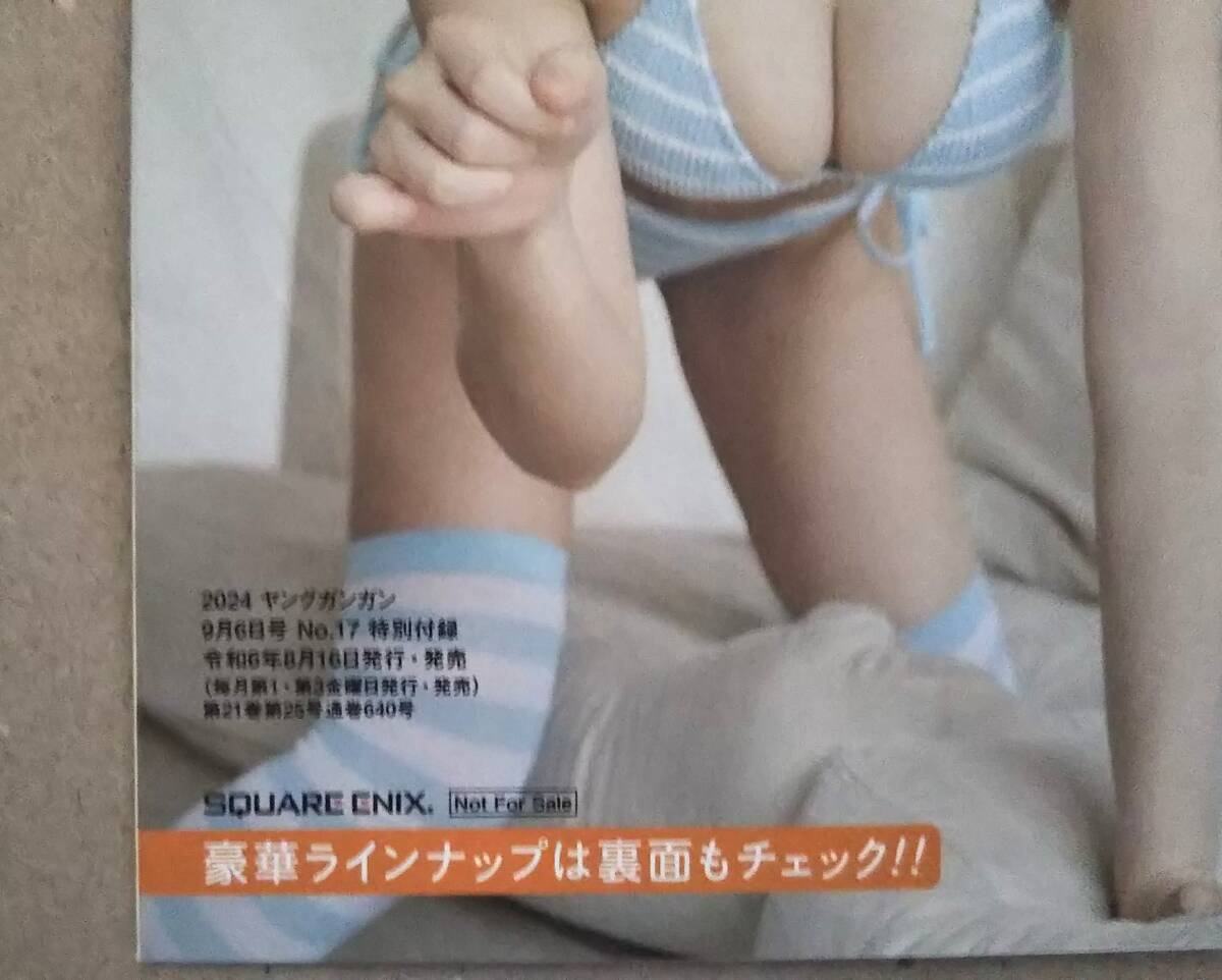 Yahoo!オークション - えなこ/モーニング娘 '24/PPEガールズ/花咲楓香/...