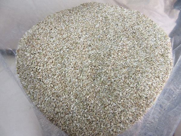 Yahoo!オークション - くず米 10kg 鳥のえさ 岐阜県産 ハツシモ R6年...