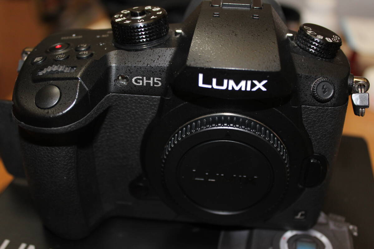 Yahoo!オークション - Panasonic パナソニック LUMIX DC-GH5 ボディ ミ...
