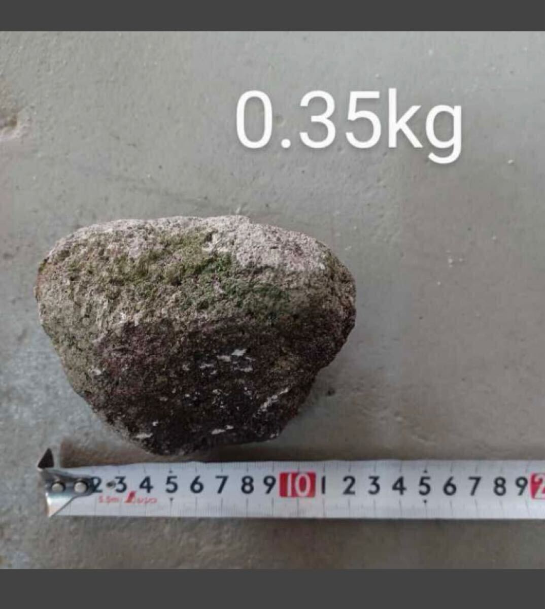 Yahoo!オークション - 堀①【同梱不可】24kg分 軽石 ガーデニング ガビ...