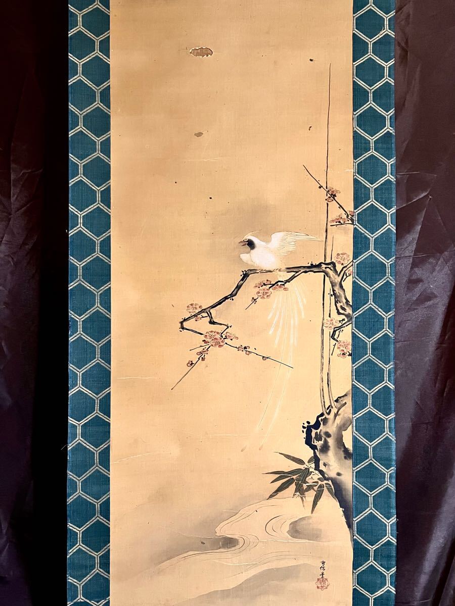 狩野方信「堅物」掛軸 絹本:花鳥画|絵画 - 絵画 狩野方信「堅物」掛軸 絹本:花鳥画|絵画 - 絵画