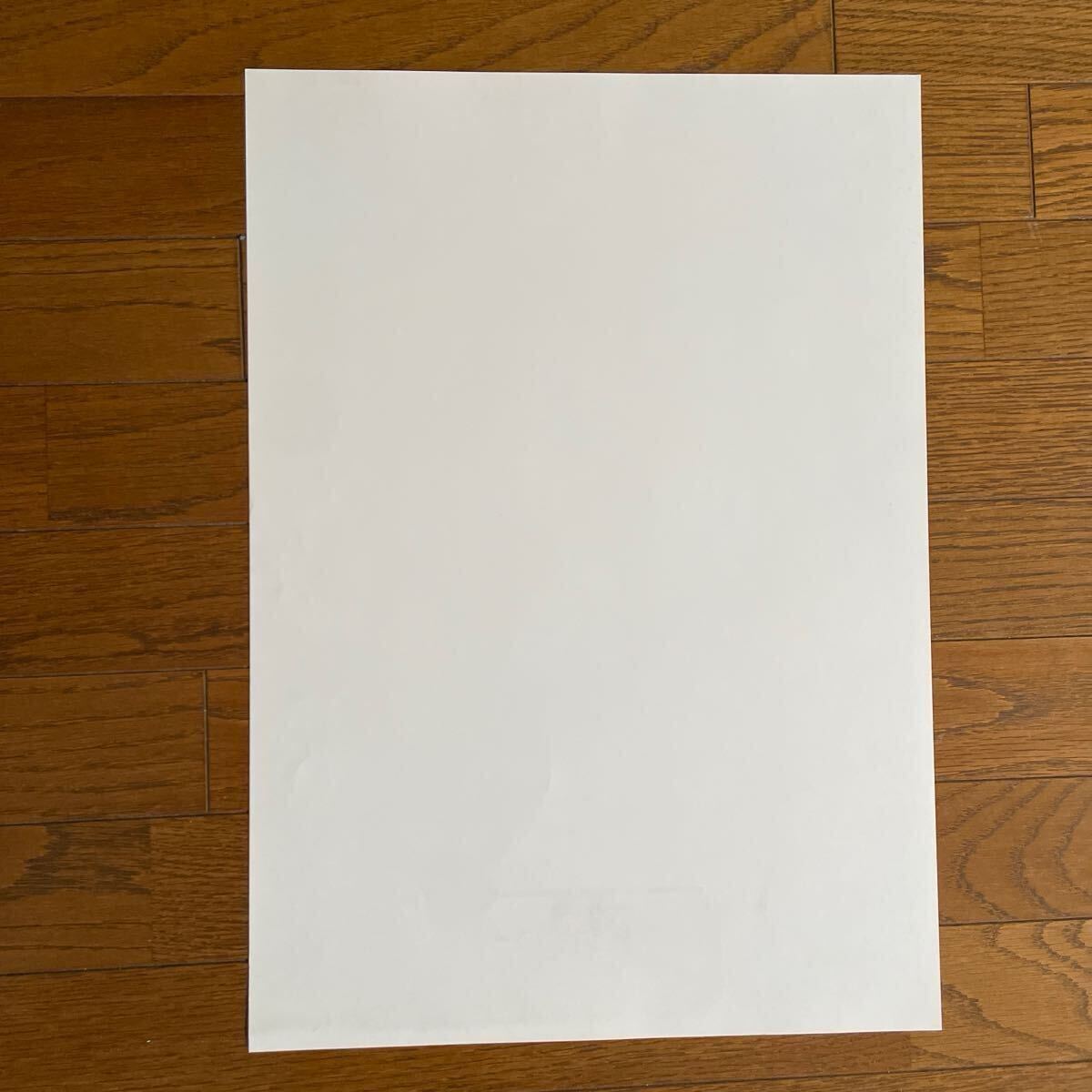 Yahoo!オークション - JRA ヒーロー列伝 No.36 トウカイテイオー B3ポ...