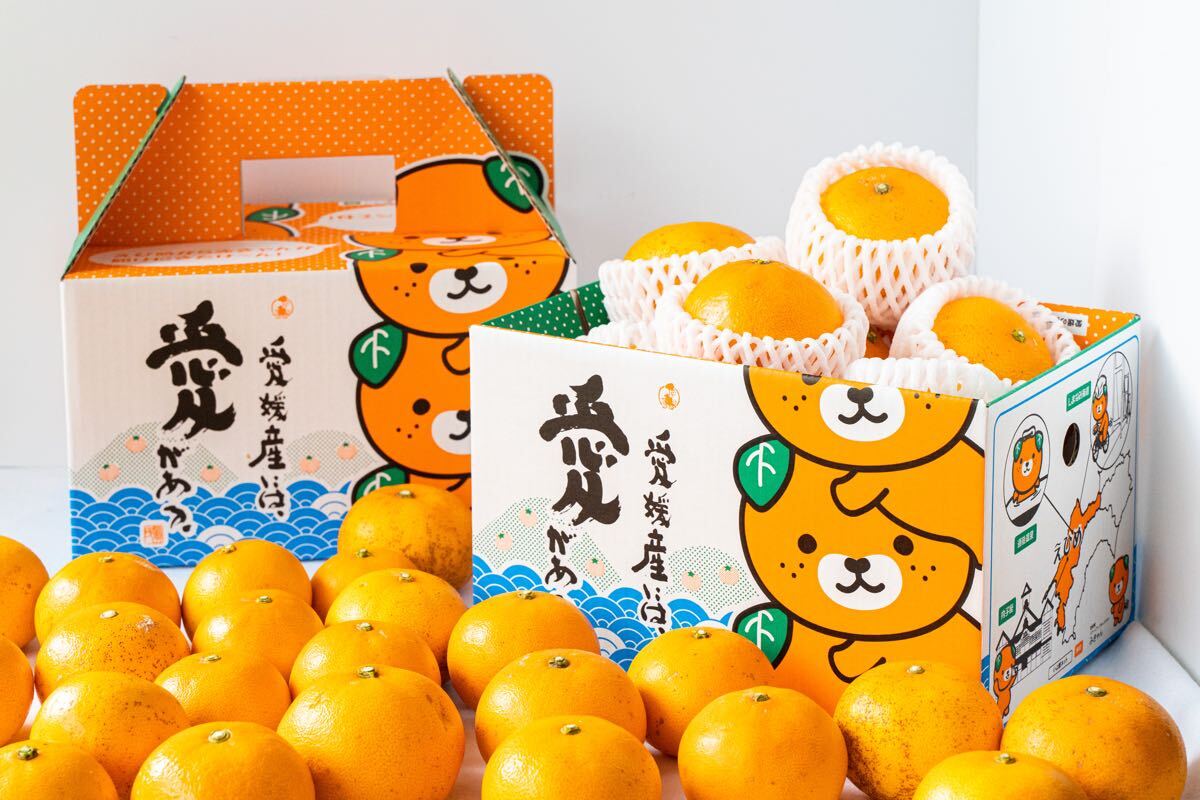 Yahoo!オークション - みかん みきゃんちゃん箱 3kg 約30〜40個入 愛媛...