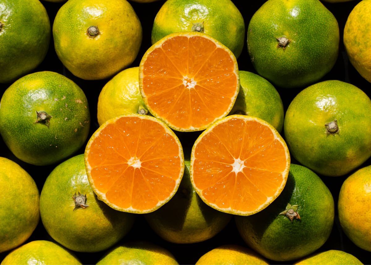 Yahoo!オークション - みかん みきゃんちゃん箱 3kg 約30〜40個入 愛媛...