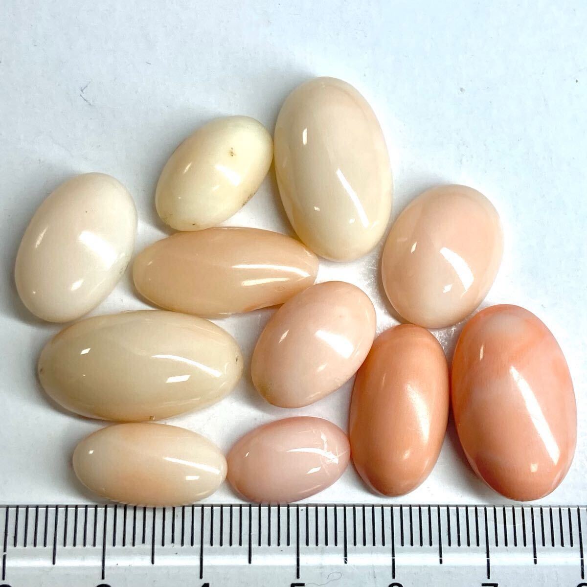 Yahoo!オークション - (天然本珊瑚11点おまとめ20.1g）n 約100.5ct ル...