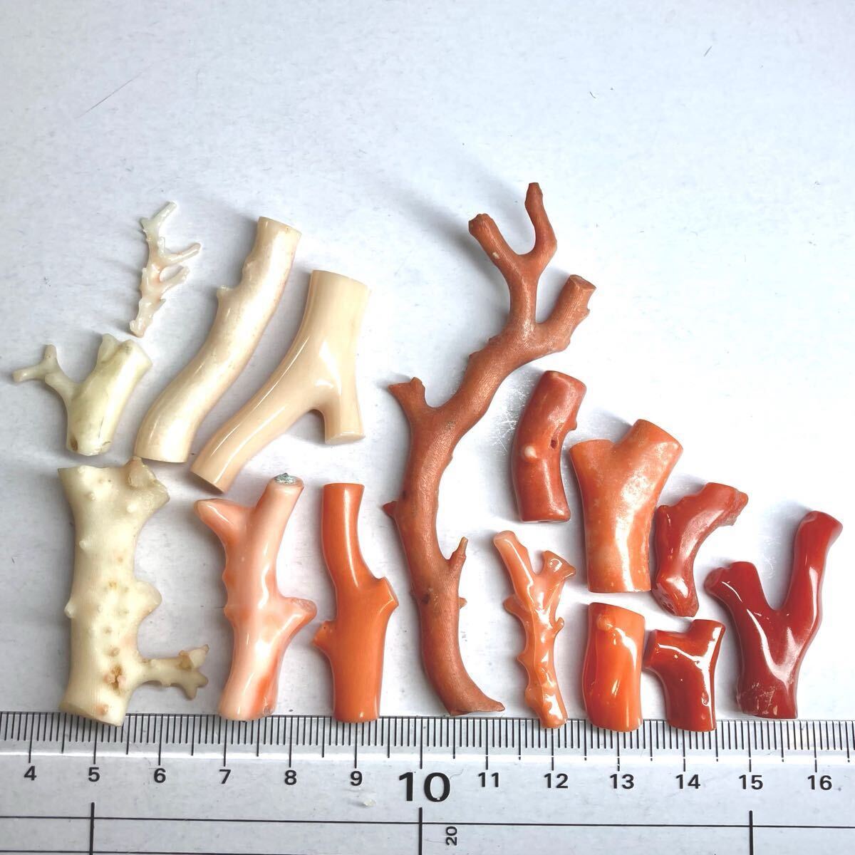 Yahoo!オークション - (天然本珊瑚おまとめ266.5ct)n 約53.3g ルース ...