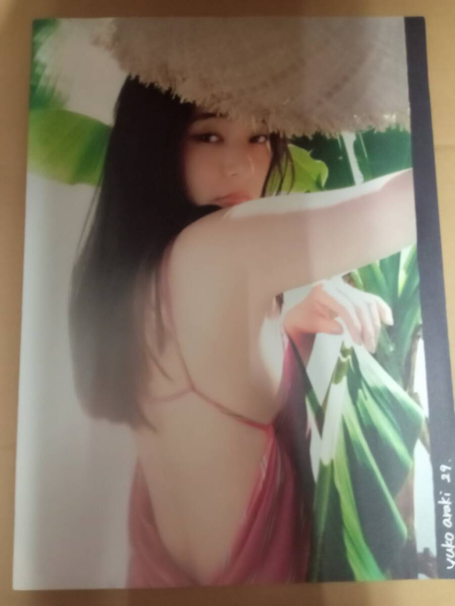 Yahoo!オークション - 中古写真集/新木優子/yuko araki 29. SYA8882001...