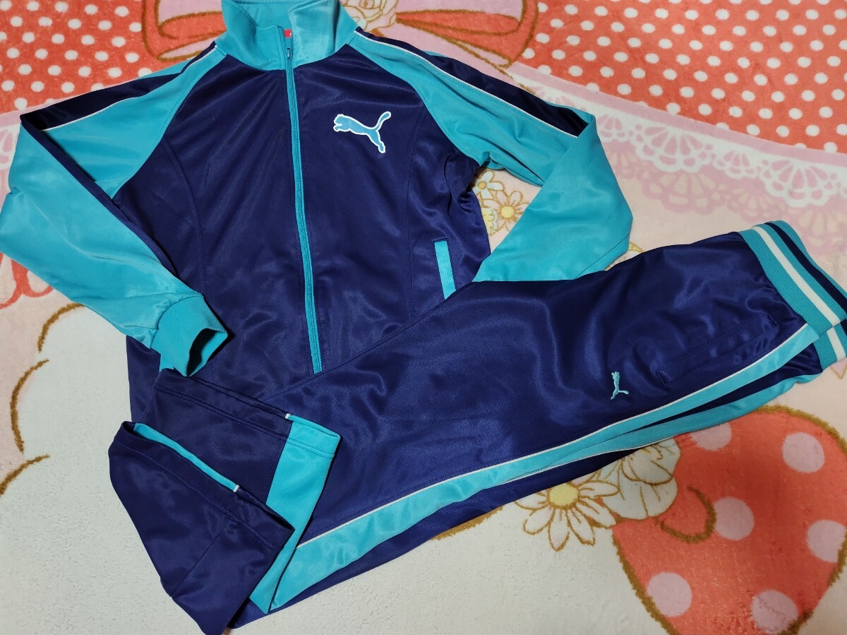 プーマ上下160(160（155cm～）以上)｜売買されたオークション情報、yahooの商品情報をアーカイブ公開 - オークファン（aucfan.com）