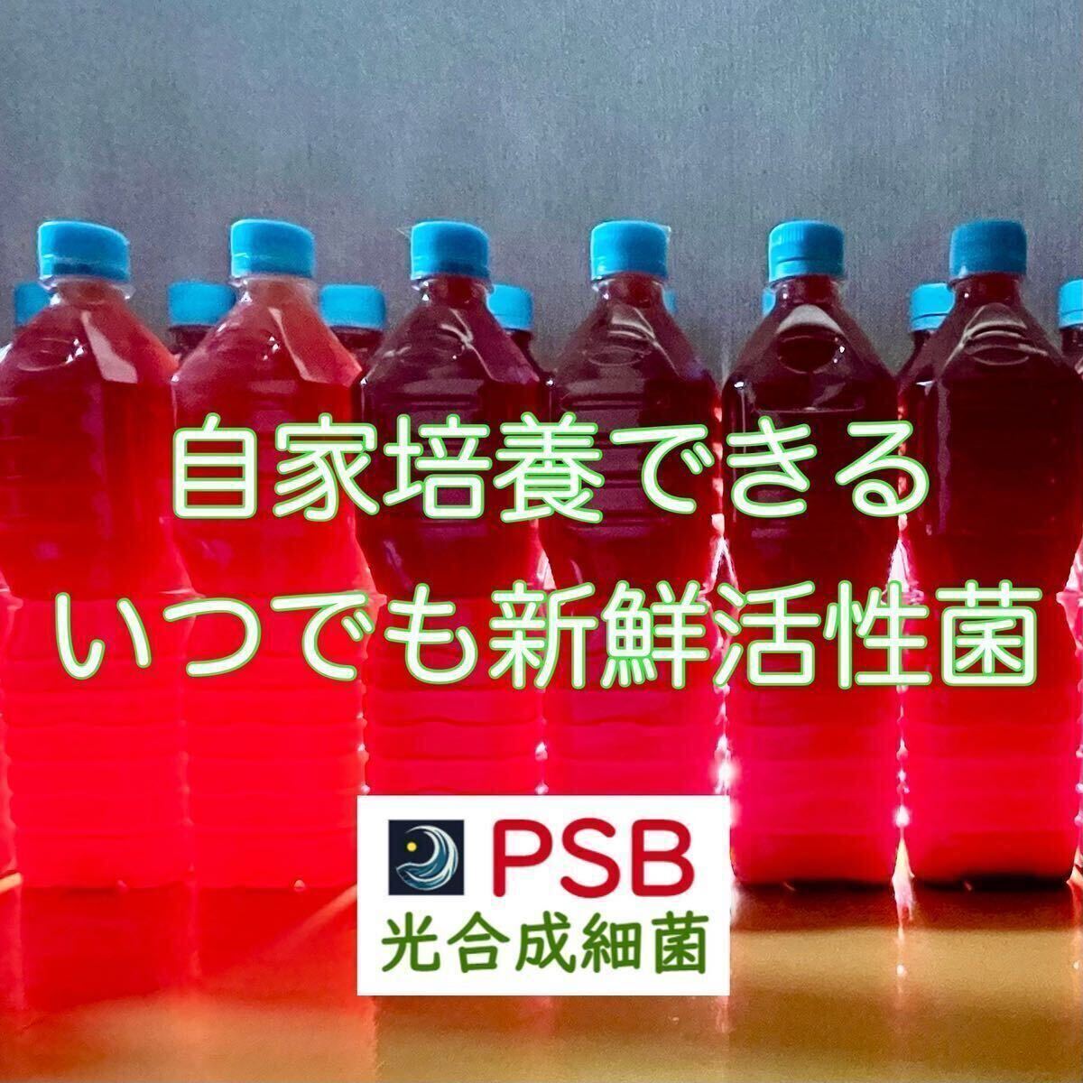 Yahoo!オークション - 【PSB】光合成細菌 1L（500mL x 2袋） バクテリ...