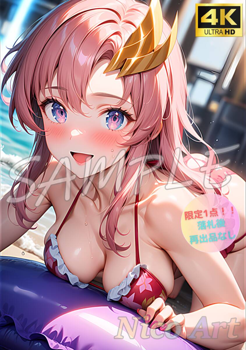 Yahoo!オークション - 機動戦士ガンダムSEED ラクス・クライン 美尻 巨...