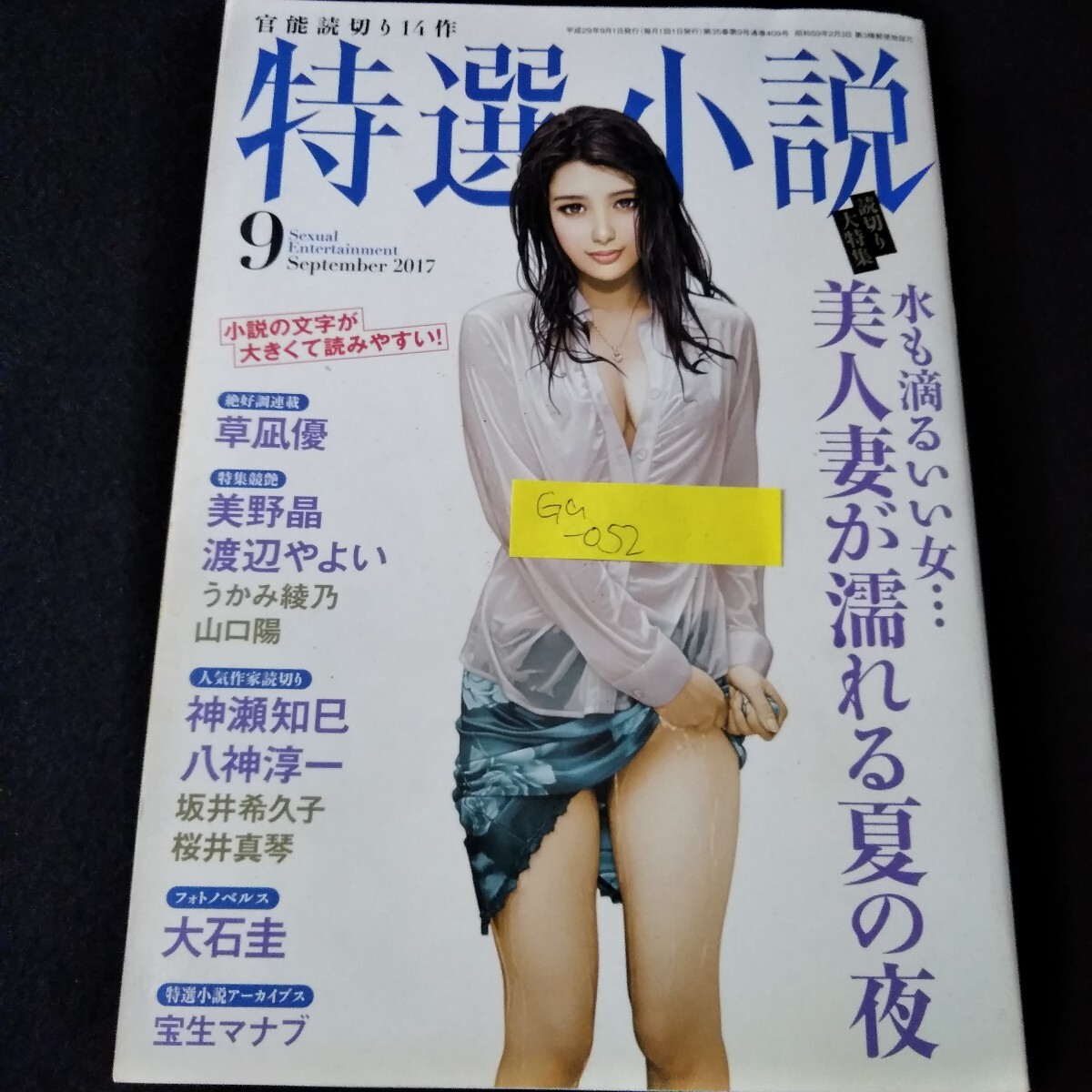 Yahoo!オークション - Ga-052/特選小説 2017年9月号 美人妻が濡れる夏...