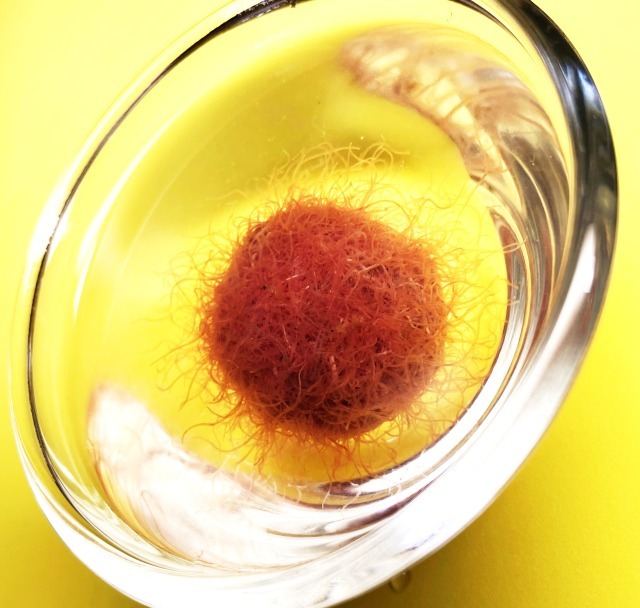 Yahoo!オークション - 【10％増量中】 国産・自社養殖 活餌 イトメ