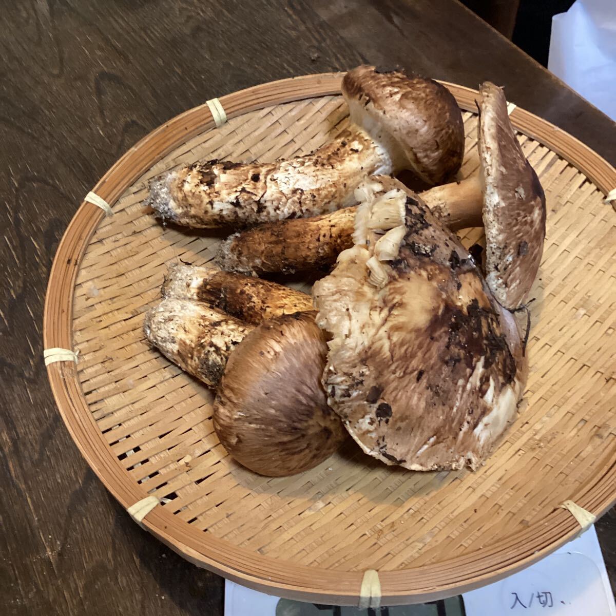 Yahoo!オークション - 岡山県 備中松茸 275g 松茸