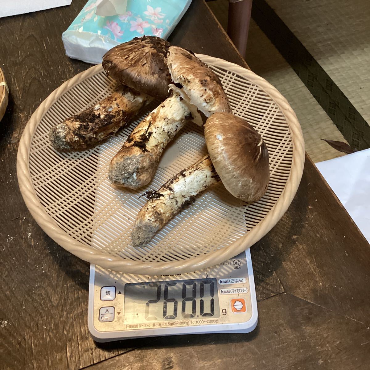 Yahoo!オークション - 岡山県 備中松茸 268g 開き松茸