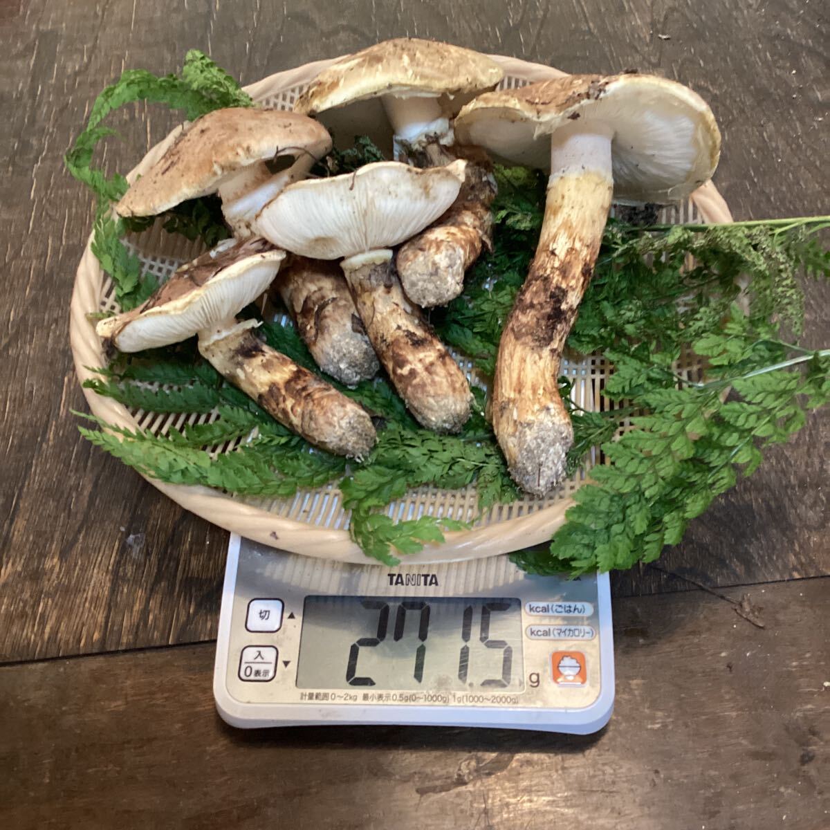 Yahoo!オークション - 岡山県 備中松茸 271g開き